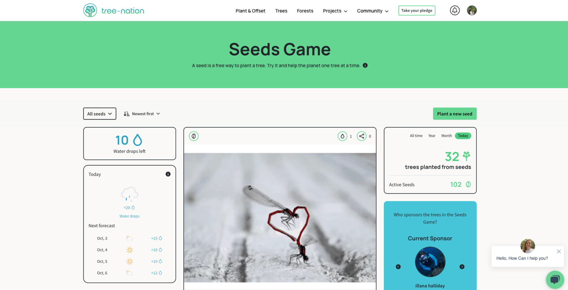 Seeds Game: water drops