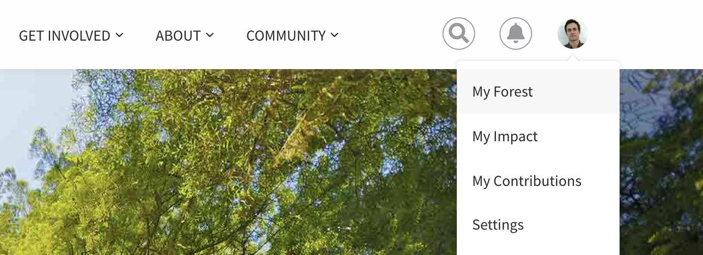 Where can I find my tree certificate?