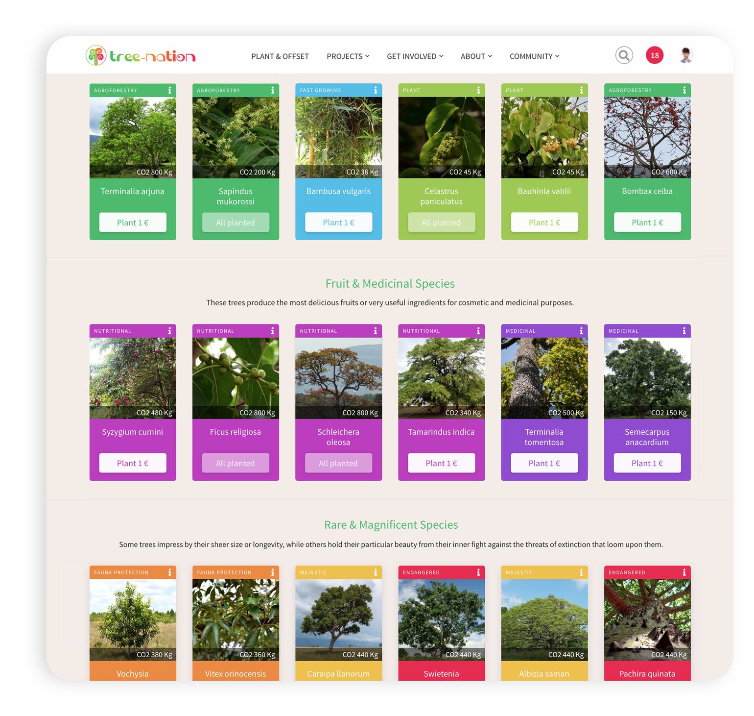 Biodiversity in our projects