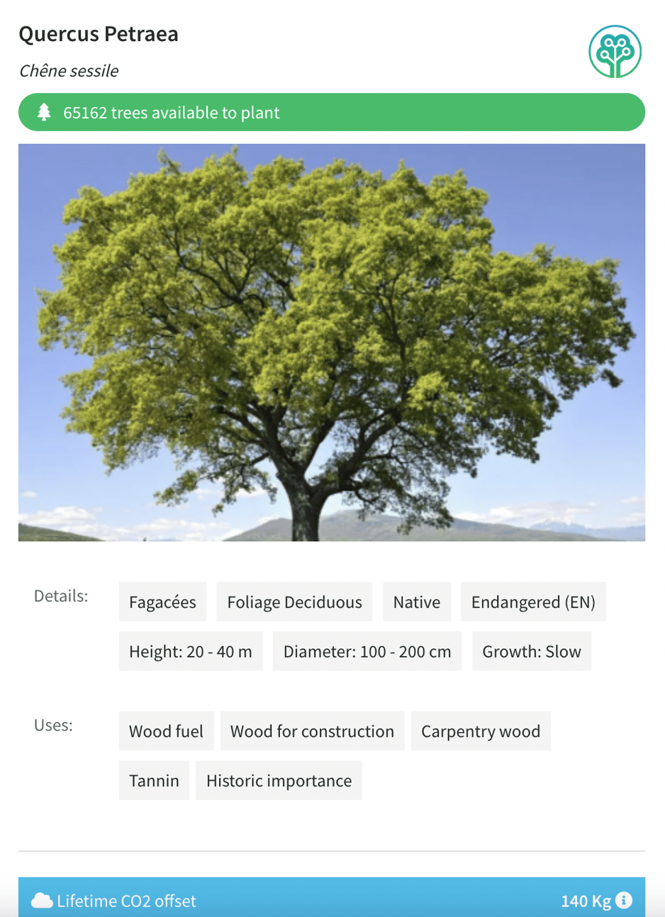 What is Tree-Nation's CO2 offset methodology?