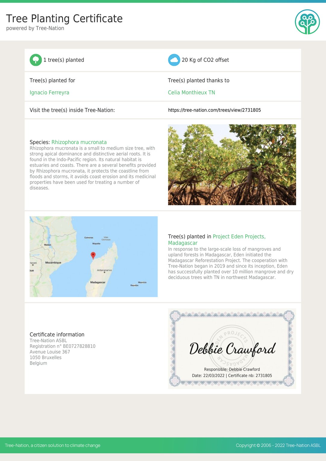 How to offer a tree with a paper certificate