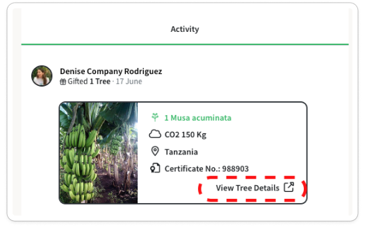The Tree Certificate - How to use, share, and download your certificate