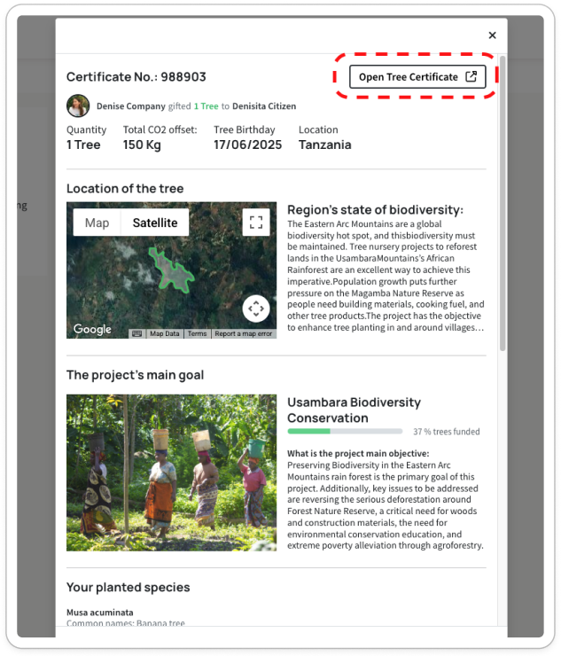 The Tree Certificate - How to use, share, and download your certificate