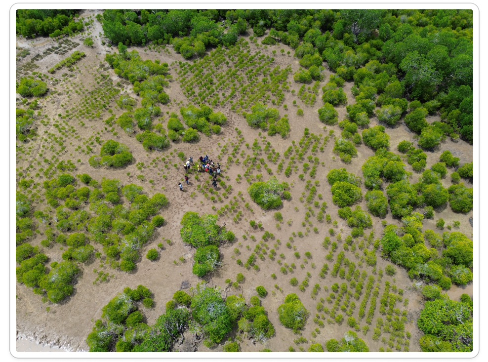 Project verification