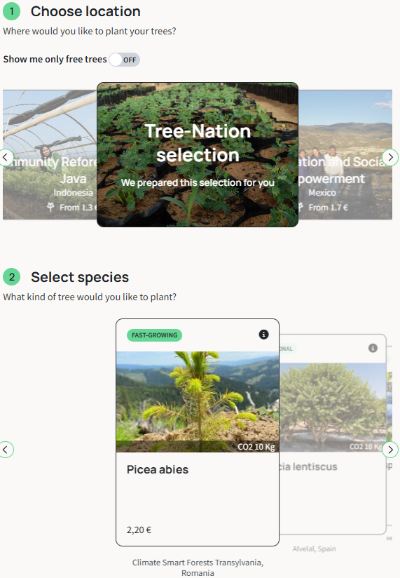 How to plant and offer trees
